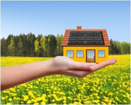 A Beginner’s Guide To Living Off-Grid | Year Zero Survival – Premium ...