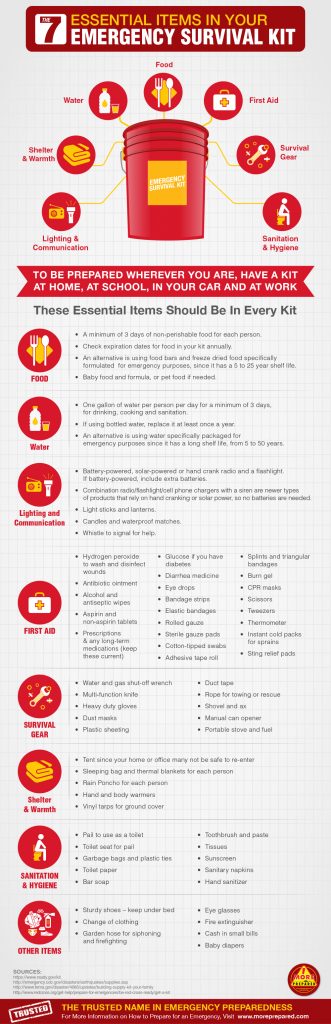 7 Items You Must Have in Your Emergency Survival Kit [infographic ...